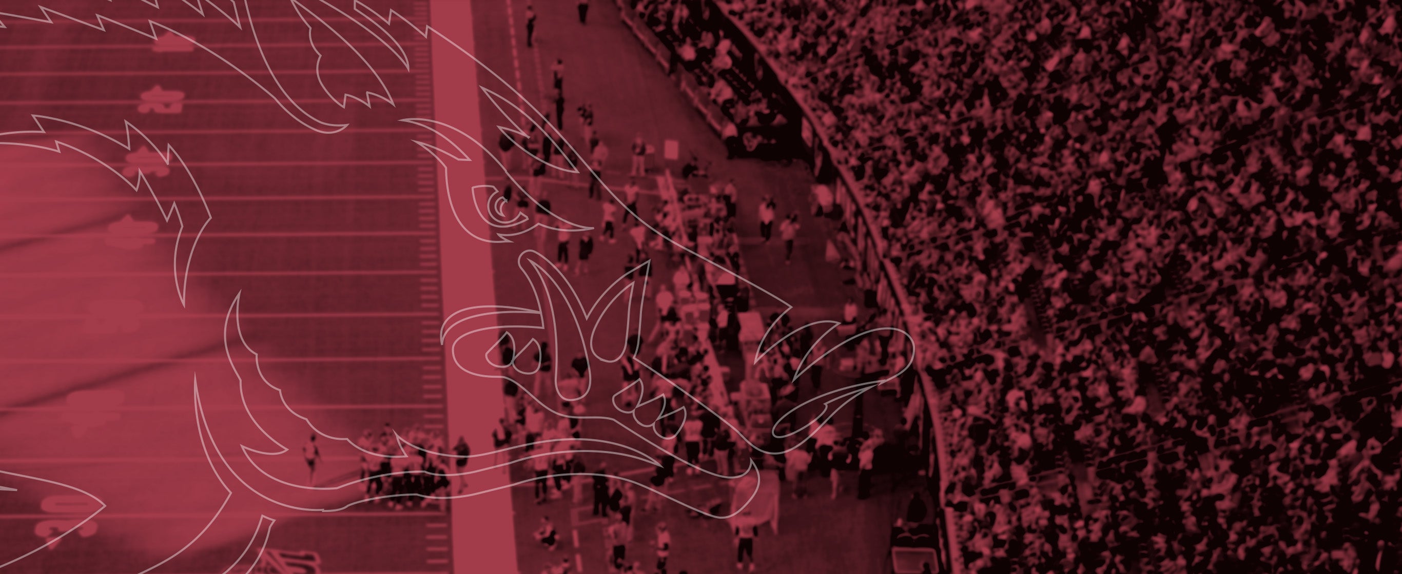 Arkansas Razorbacks Decorations & Party Supplies - Officially Licensed ...